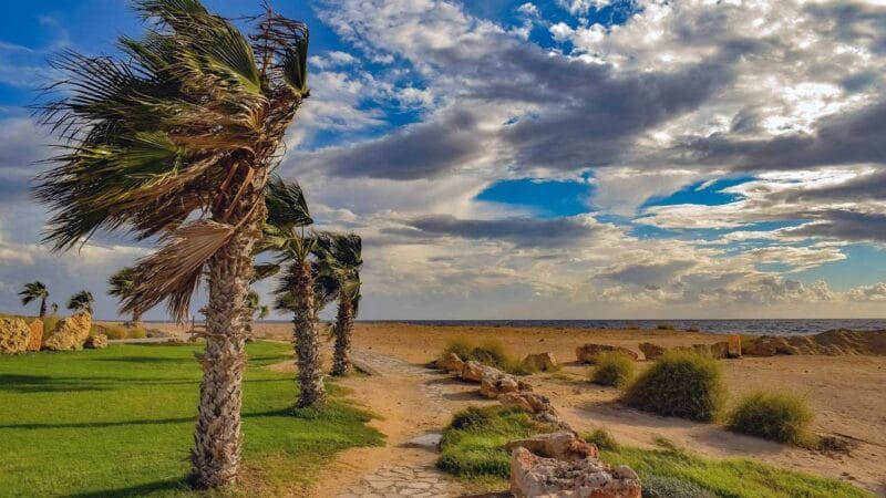 Top 13 Windiest Cities in the US [Ranking of 2023]