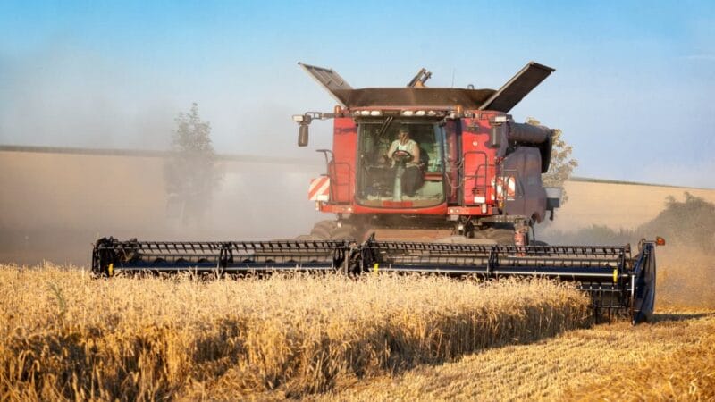 All 50 US States Ranked by Agricultural Production [Report 2023]