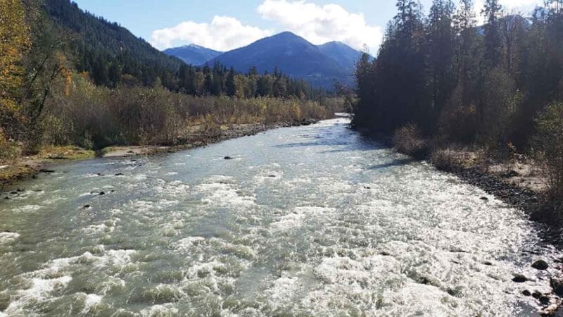 12 Most Dangerous Rivers in the US [Update 2023]