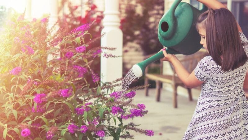 US Quality of Life by States [Report 2023]