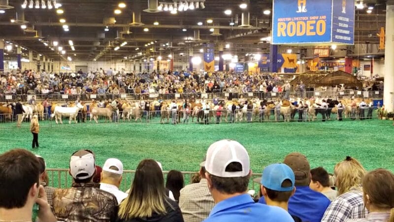 12 Biggest Rodeos in the US [Update 2023]
