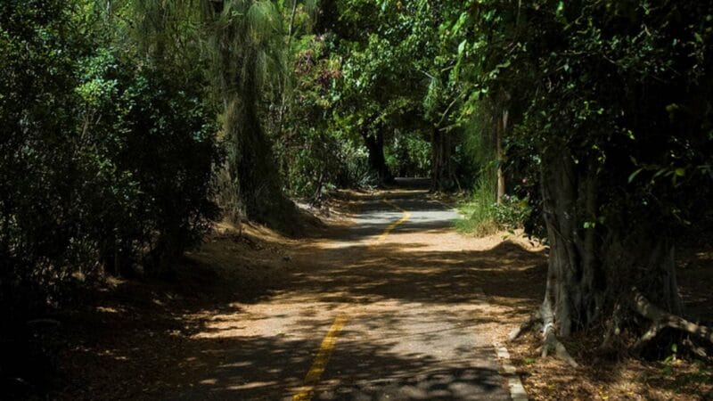 12 Epic Bike Trails in Georgia [Update 2023]