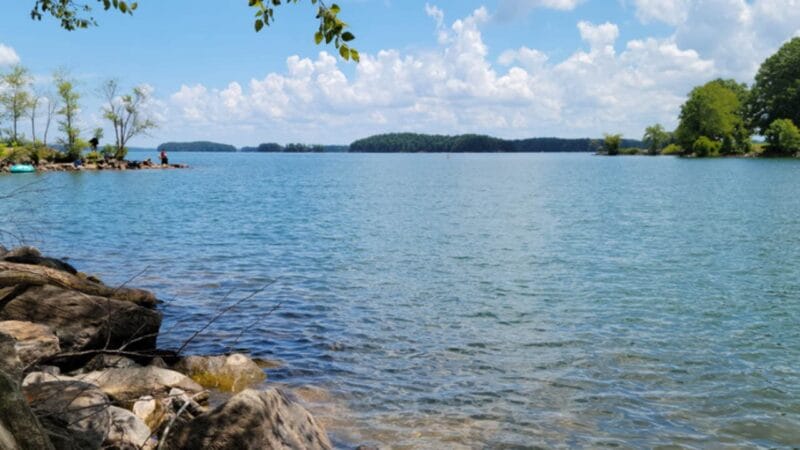 17 Best Lakes in Georgia You Must Visit [Update 2023]