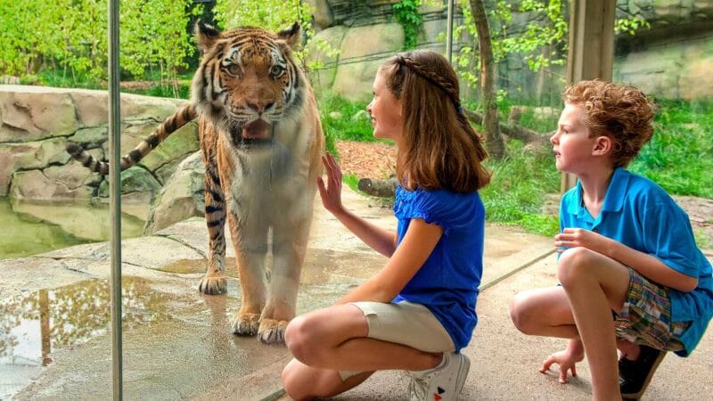 11 Best Zoos in Indiana to Visit with Family [Update 2023]